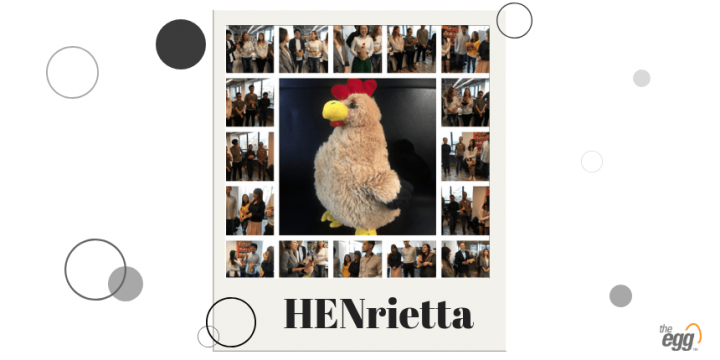 Check out our chatty chicken! | The Egg Company