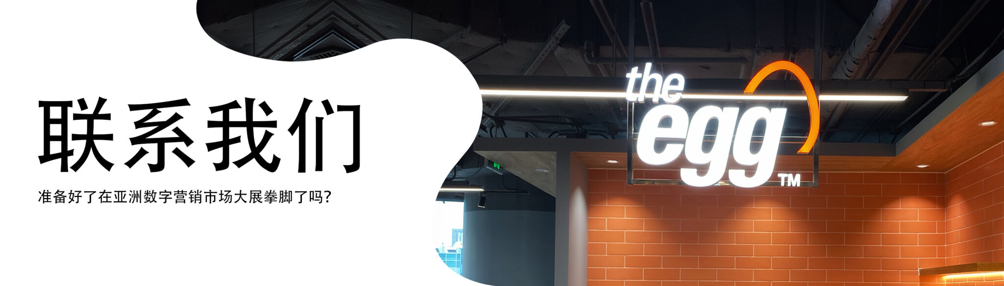 联系我们| 亚洲数字营销公司| The Egg